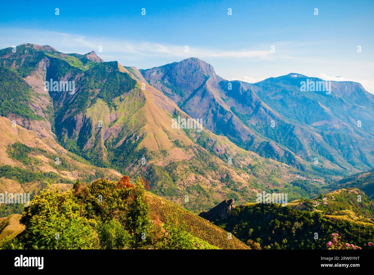 Western Ghats is a mountain range that traverse the states of Kerala ...