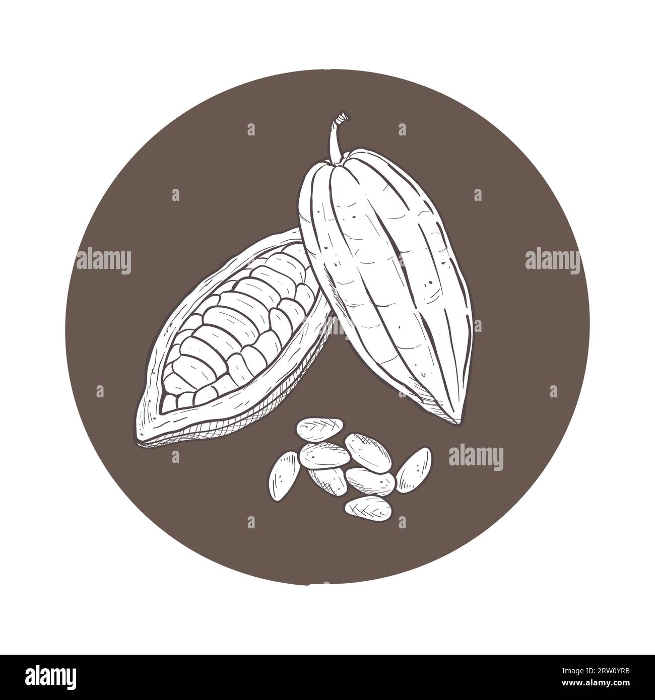 Vector illustration set of cocoa opened and closed raw unpeeled bean ...