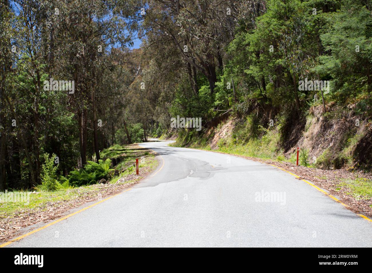 Mt Buller Alpine Rd during summer near Mirimbah in Victoria, Australia ...