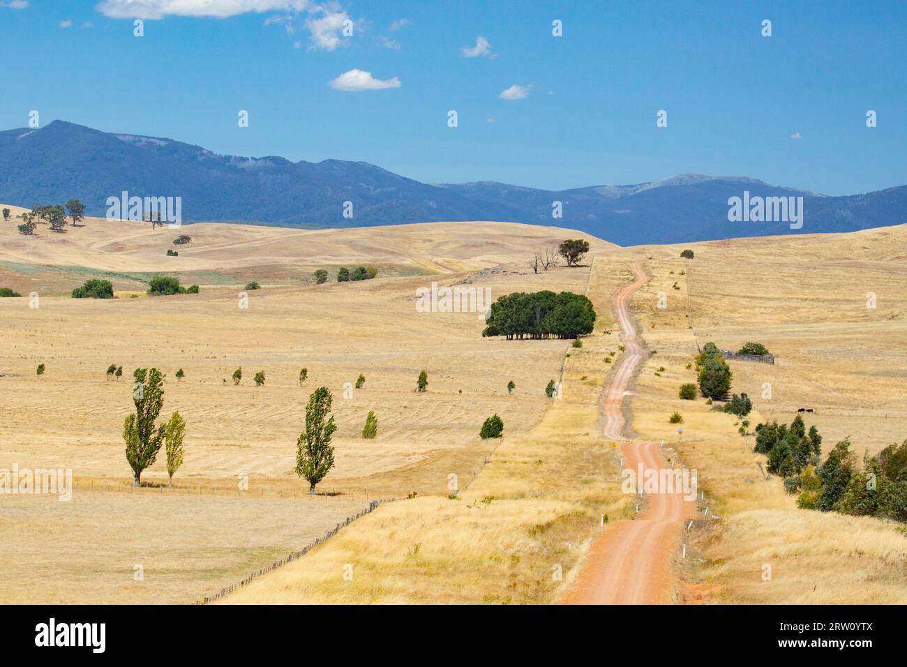 A view of summer dry landscape in the Howqua Valley towards Mt Buller ...