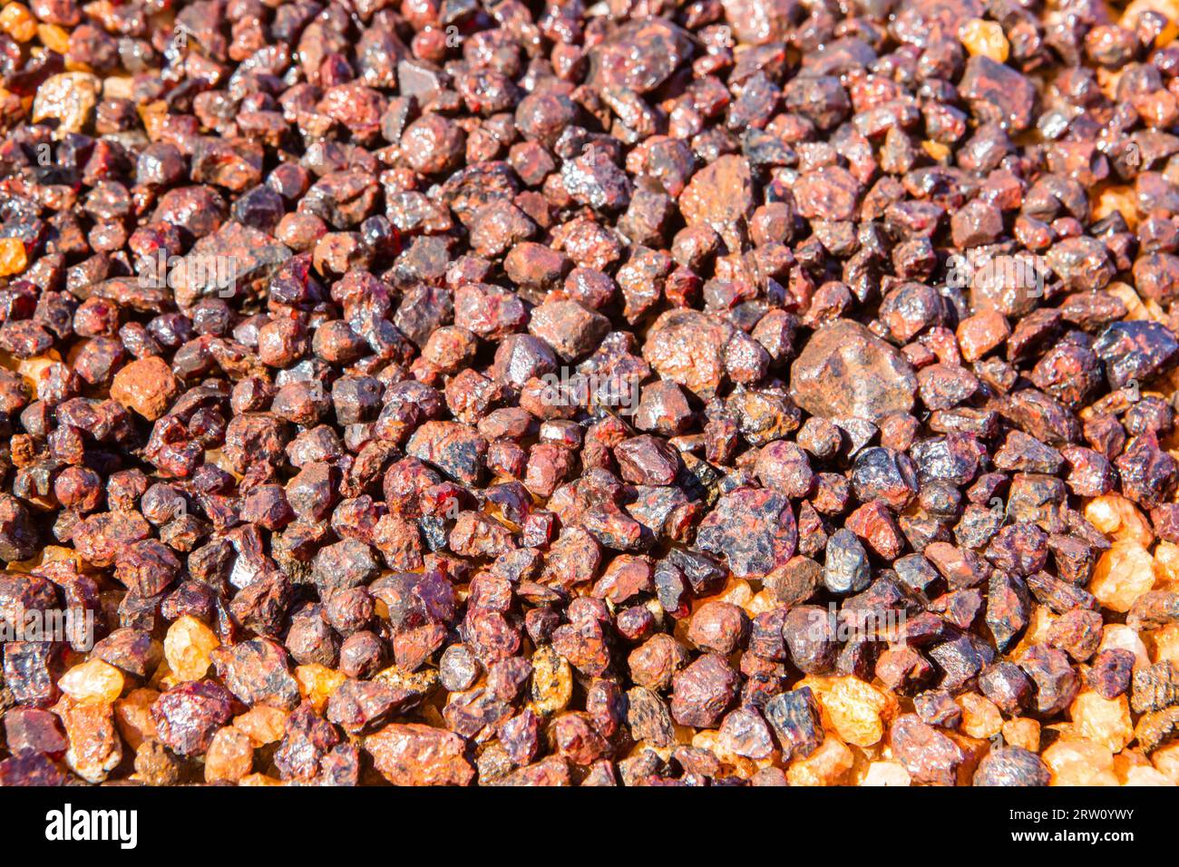 A collection of Garnet gemstones sorted from a sieve by hand in Gemtree ...