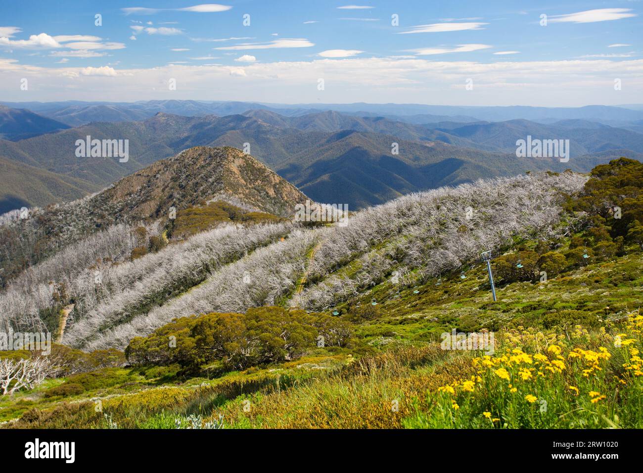 The summer view from Mt Buller over Little Buller Spur and the ...