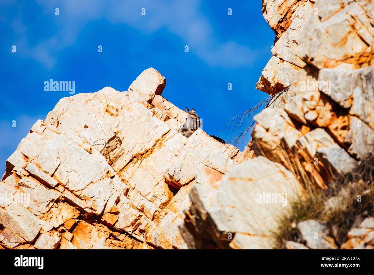 The iconic Standley Chasm and its fascinating rock formations in ...