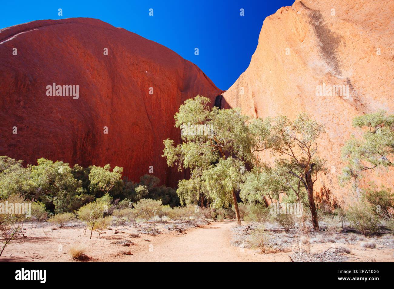Uluru rock detail with surrounding vegetation on a clear winter's ...