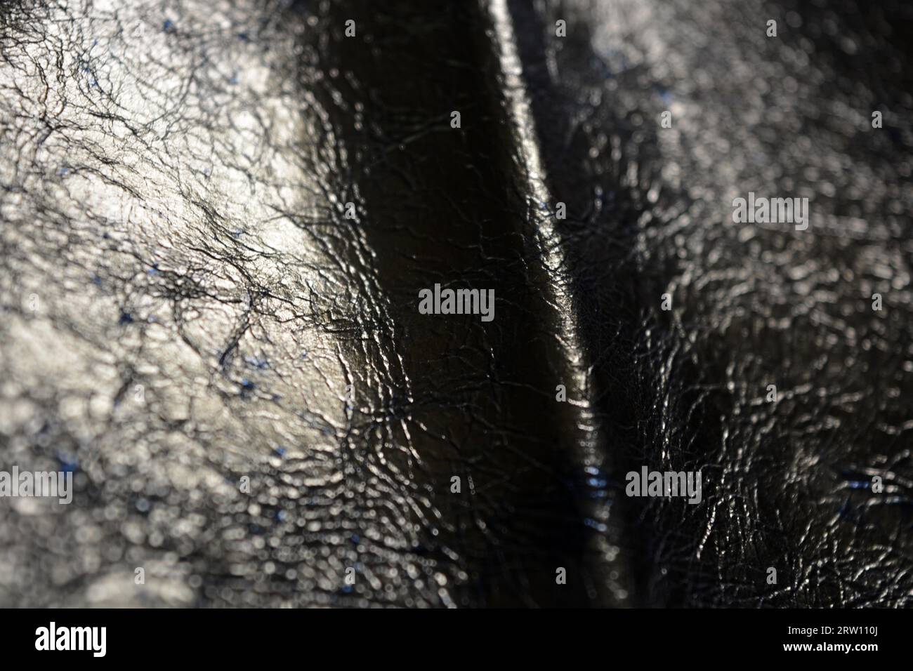 Beautiful leather goods hi-res stock photography and images - Alamy