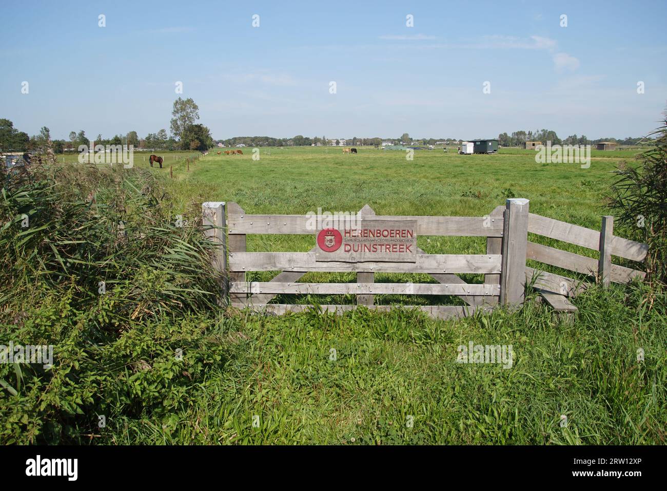 Meadows, Dutch pasture landscape, fence with wooden sign. Translated ...