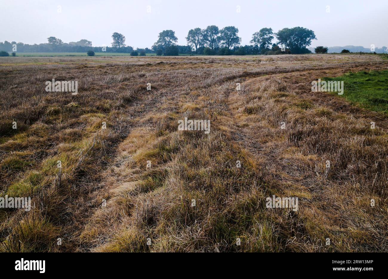 The Zudar peninsula is located in the very south-east of the island of ...