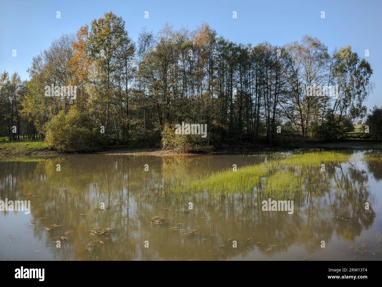 The landscape conservation area Stock Photo - Alamy