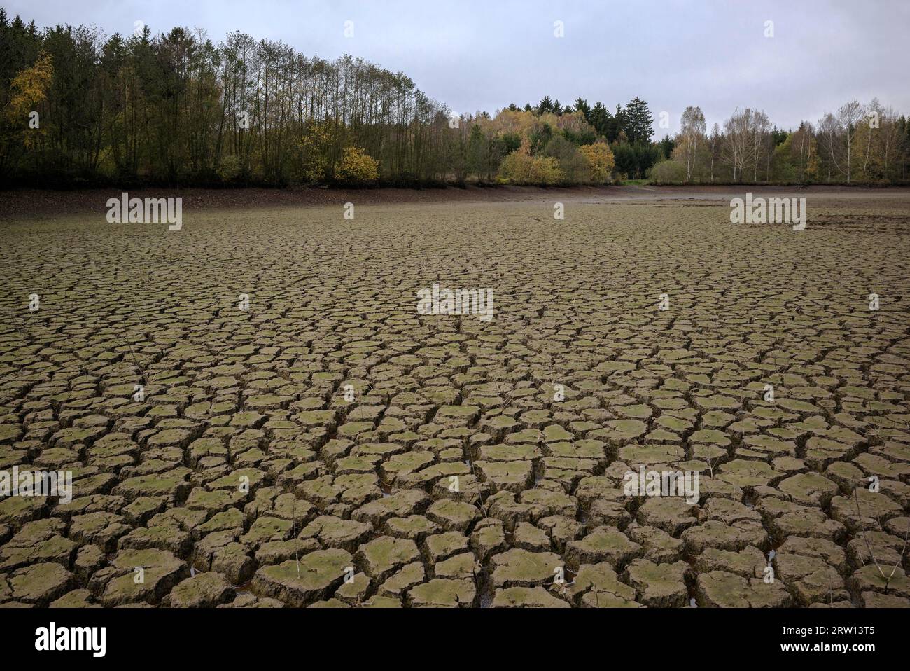 The landscape conservation area Stock Photo - Alamy