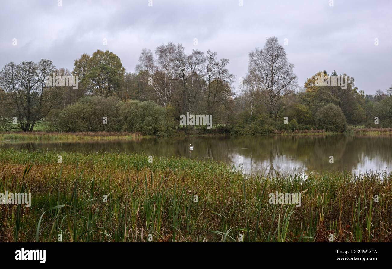 The landscape conservation area Stock Photo - Alamy