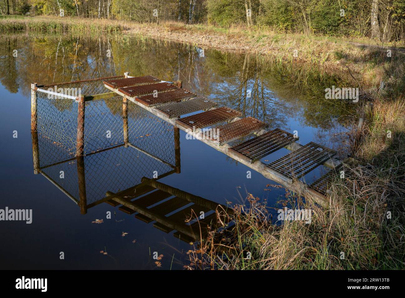 The landscape conservation area Stock Photo - Alamy