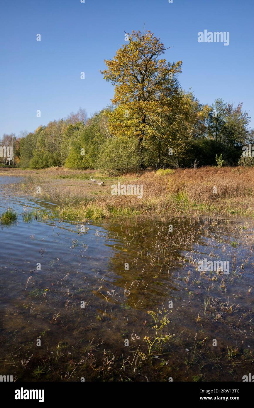 The landscape conservation area Stock Photo - Alamy