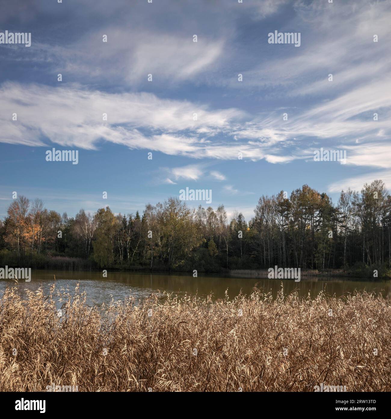 The landscape conservation area Stock Photo - Alamy