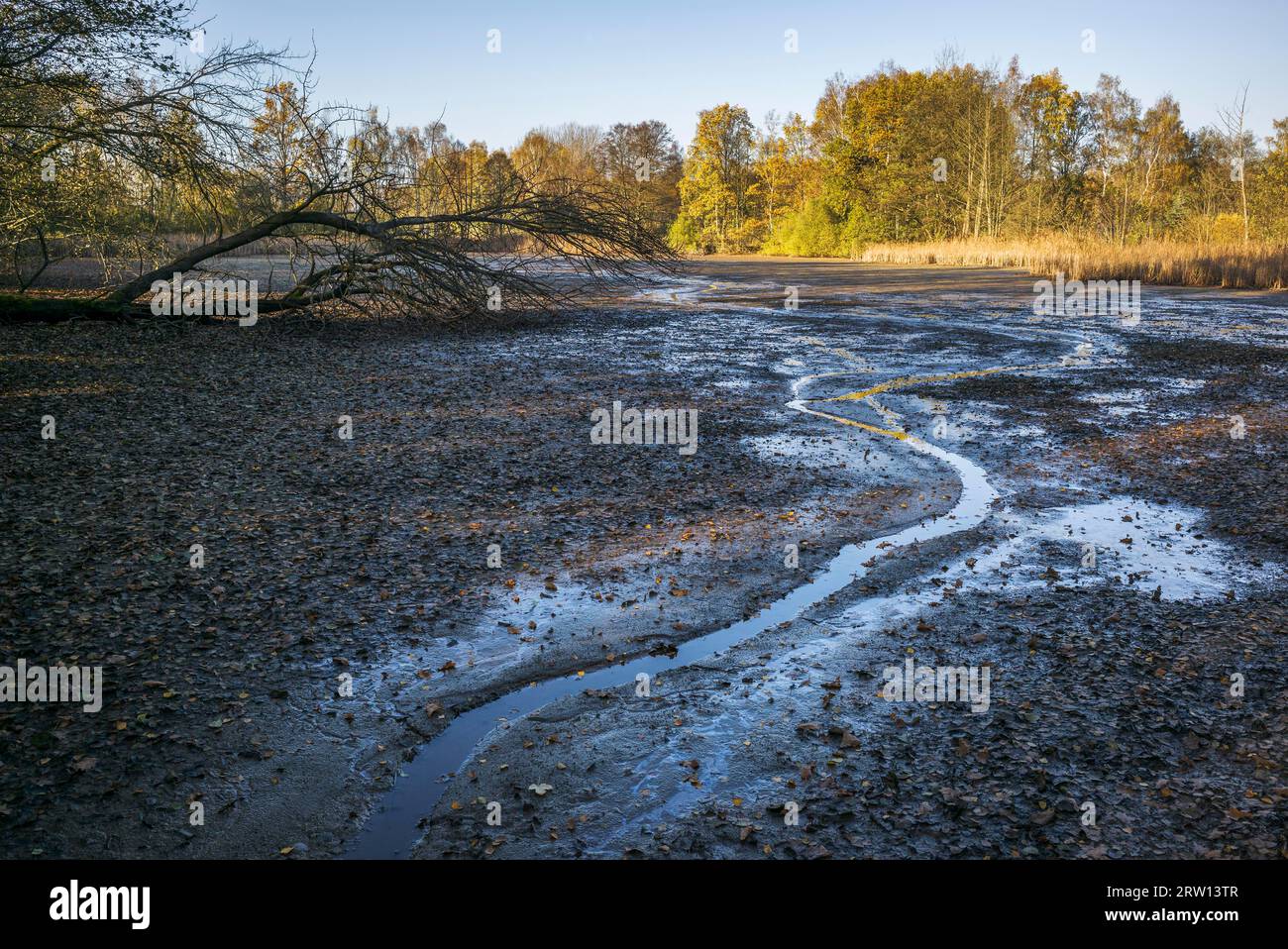 The landscape conservation area Stock Photo - Alamy