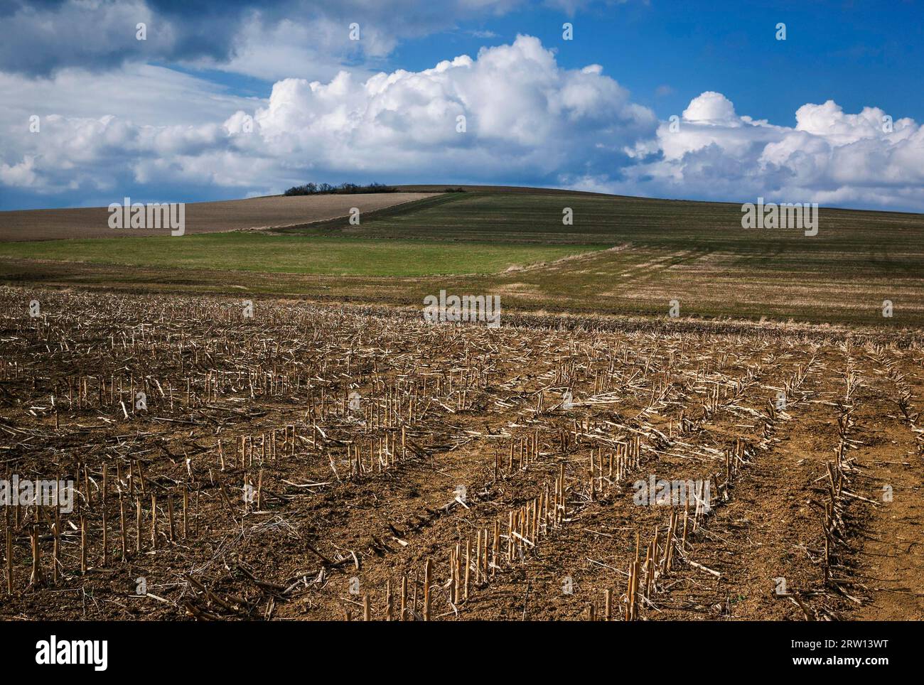 Stubble fields hi-res stock photography and images - Alamy