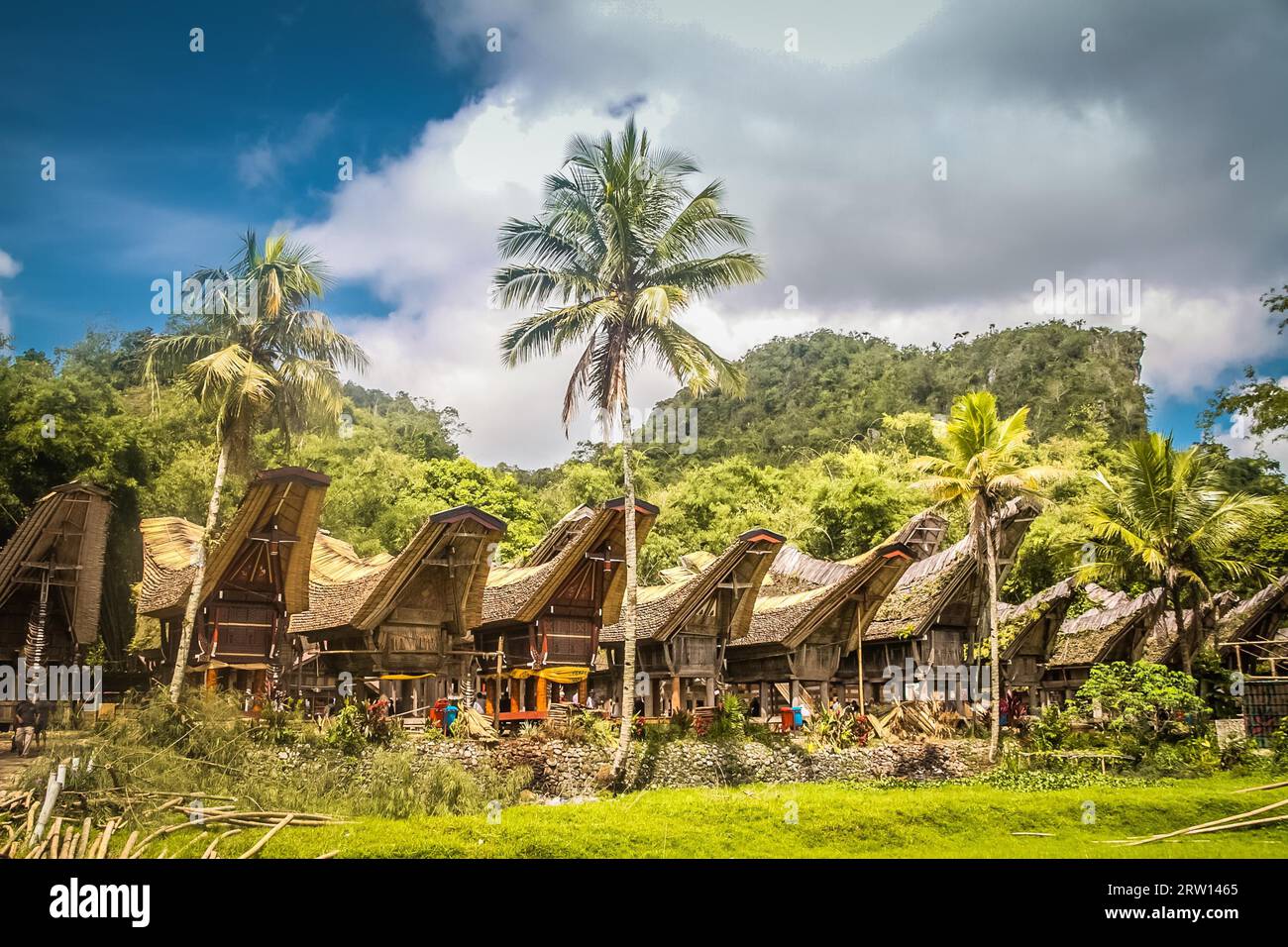 Traditional wooden tongkonans, ancestral houses with typical boat ...