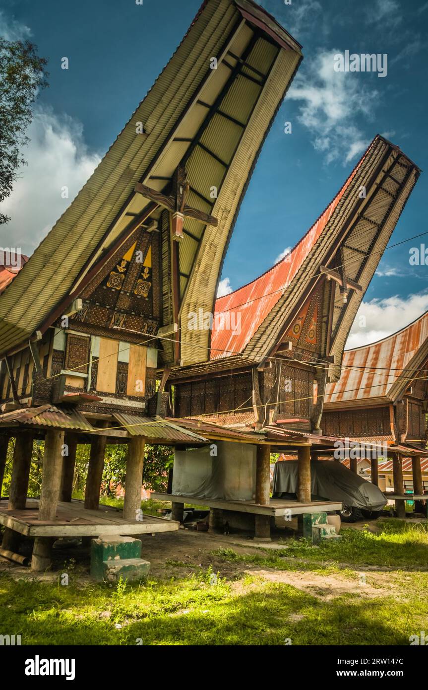 Large ancestral houses also called tongkonans, typical of large roofs ...