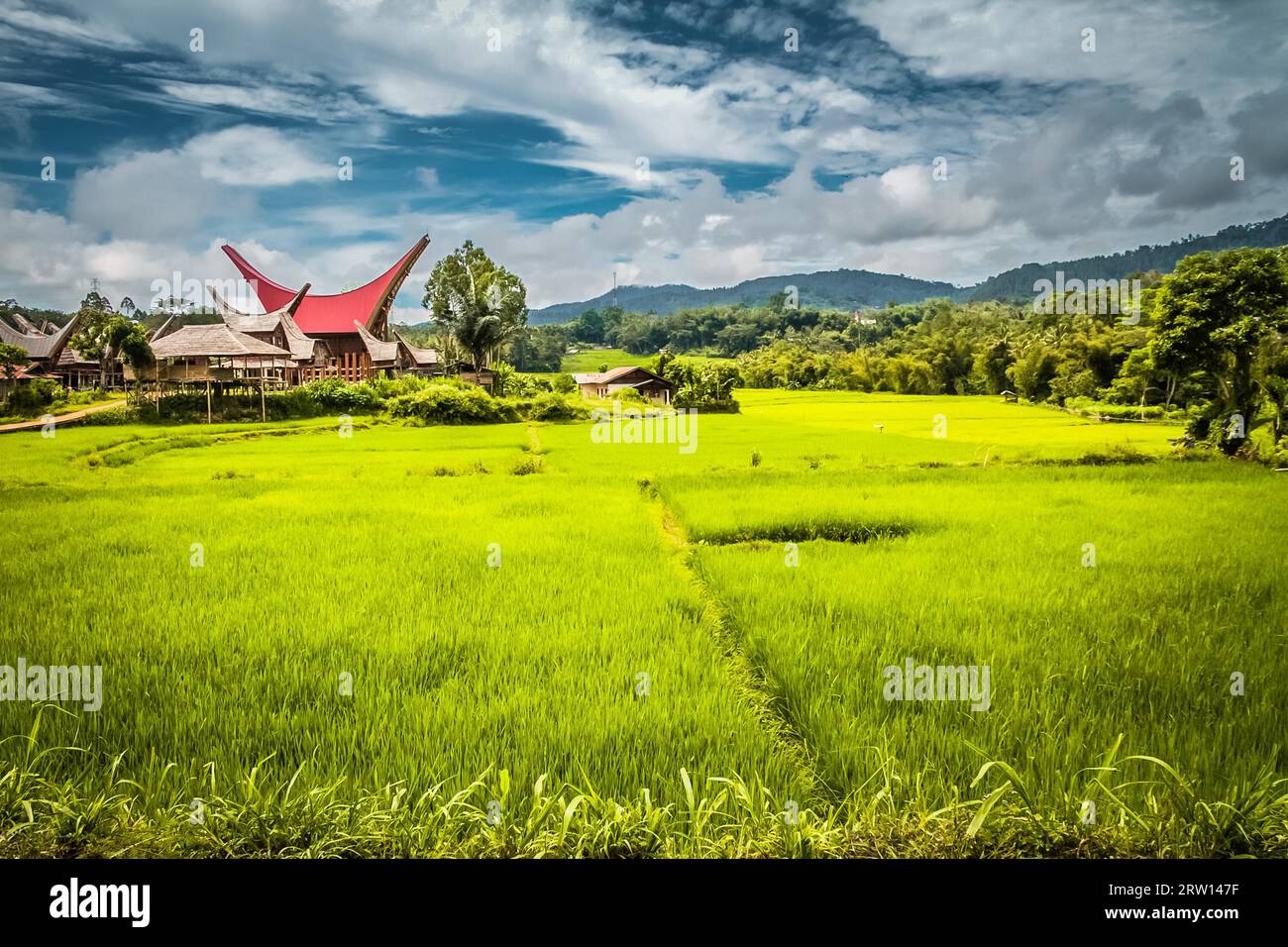 Photo of ancestral house and large field of grass surrounded by forest ...