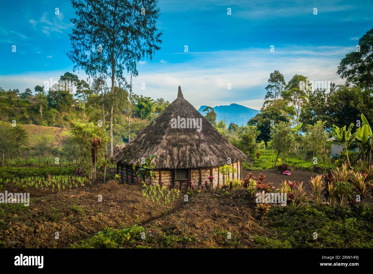 Papua new guinea tribe mountain hi-res stock photography and images - Alamy