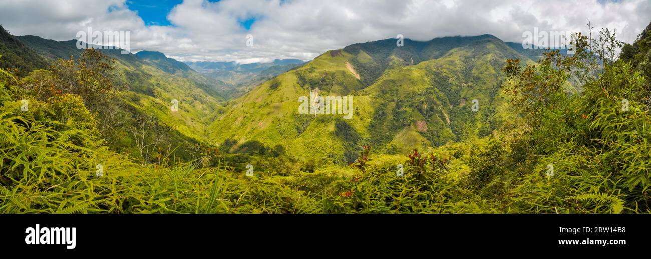 Mountains and greenery in Digne in Kubor range, Papua New Guinea. This ...