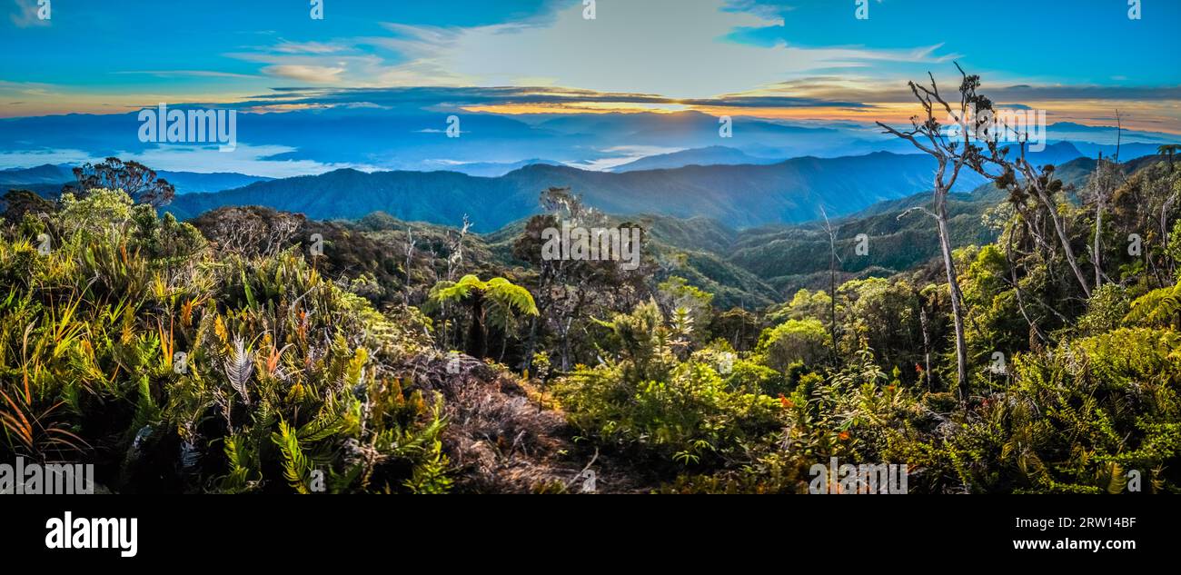 Panoramic photo of greenery and sunrise in Digne in Kubor range, Papua ...