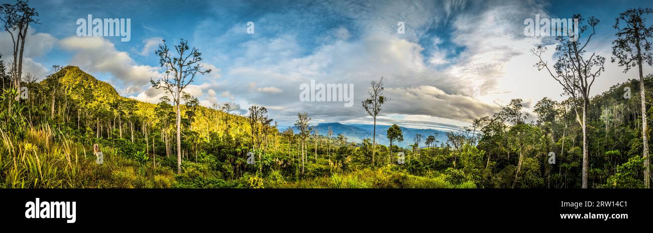 Panoramic photo of trees and greenery in Sara village, Mt. Michael in ...