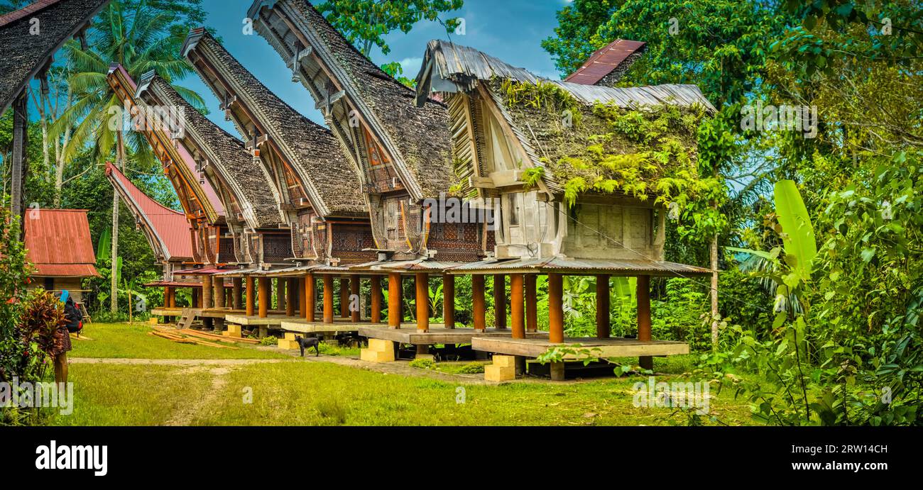 Large ancestral houses standing on four pillars with large boat-shaped ...