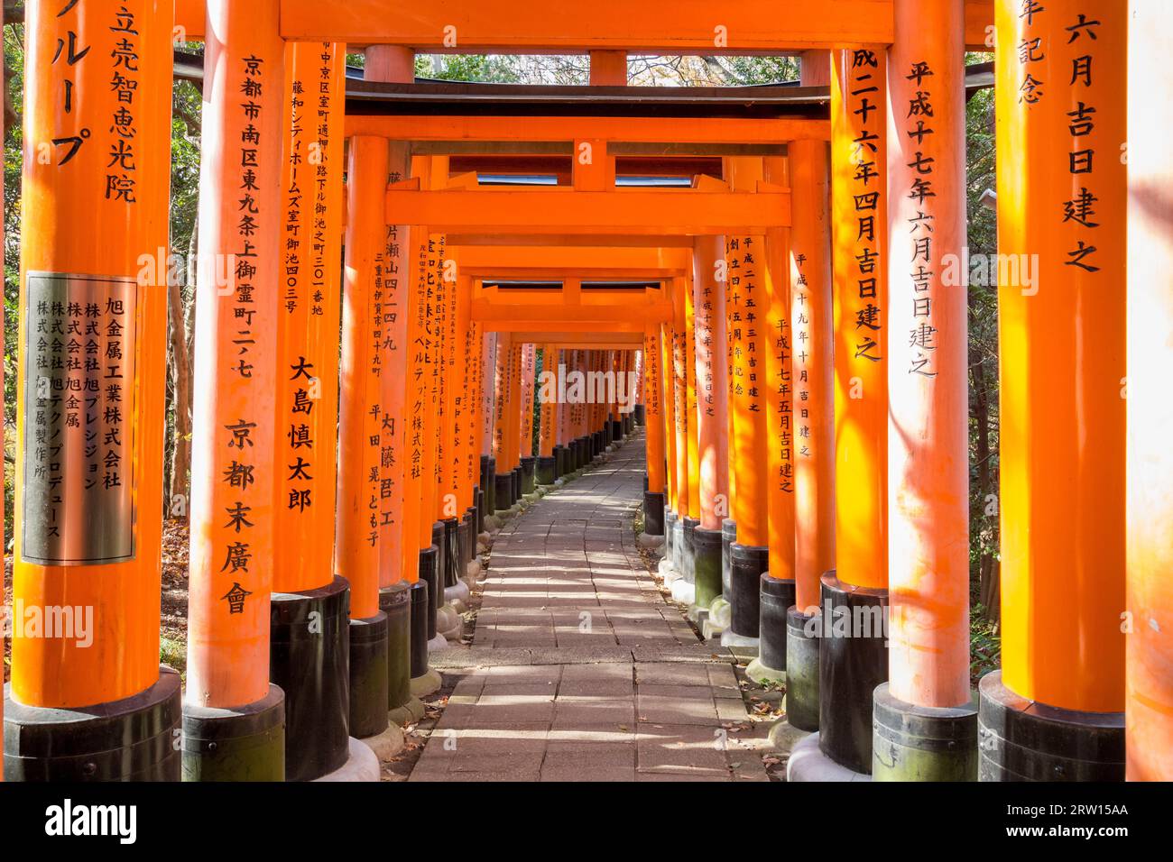 Kyoto, Japan, December 13, 2014: Orange gates called torii at the ...