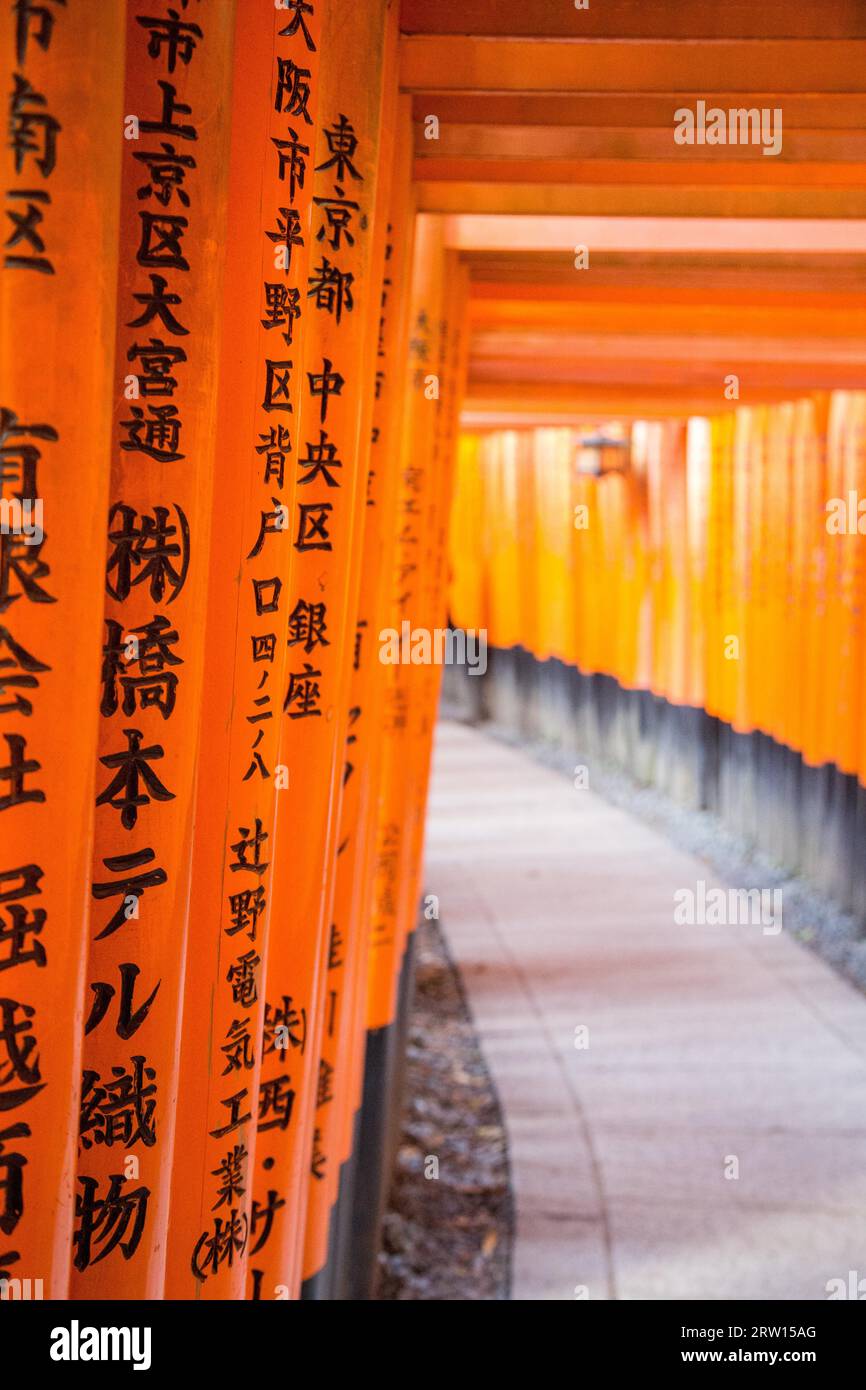 Kyoto, Japan, December 13, 2014: Orange gates called torii at the ...