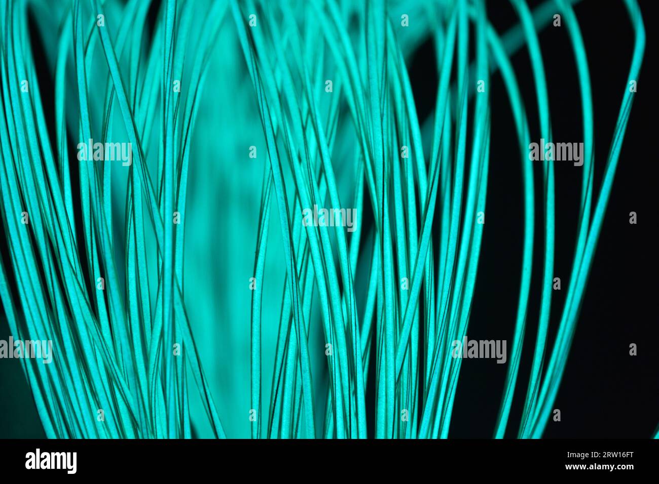 A glowing chaos of thin light wires. An unusual, unique glowing ...