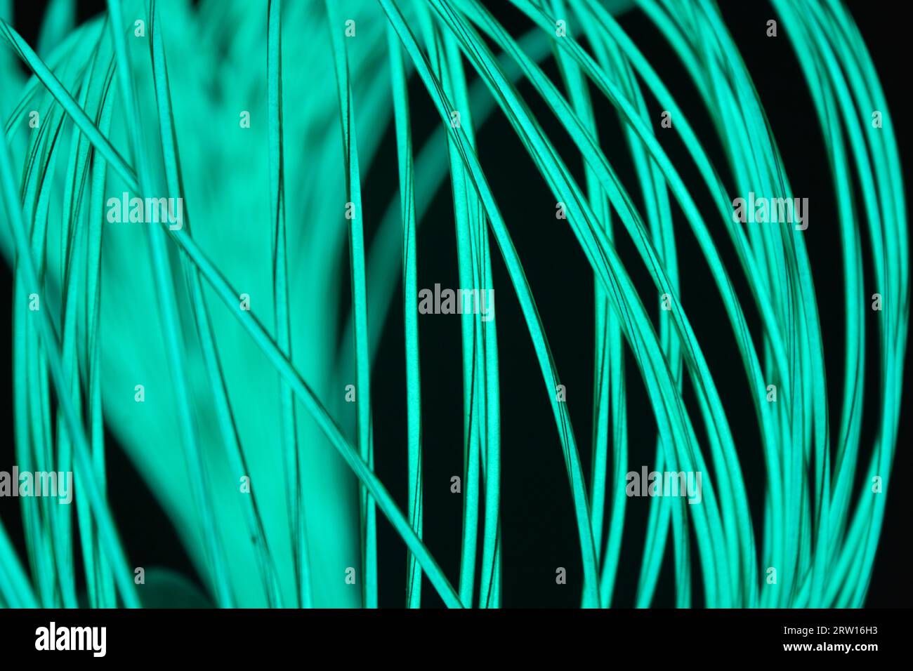 A glowing chaos of thin light wires. An unusual, unique glowing ...