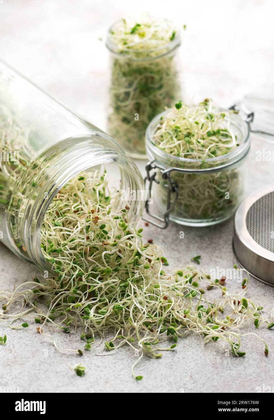 Microgreens grown in a jar. Healthy Eating Stock Photo - Alamy