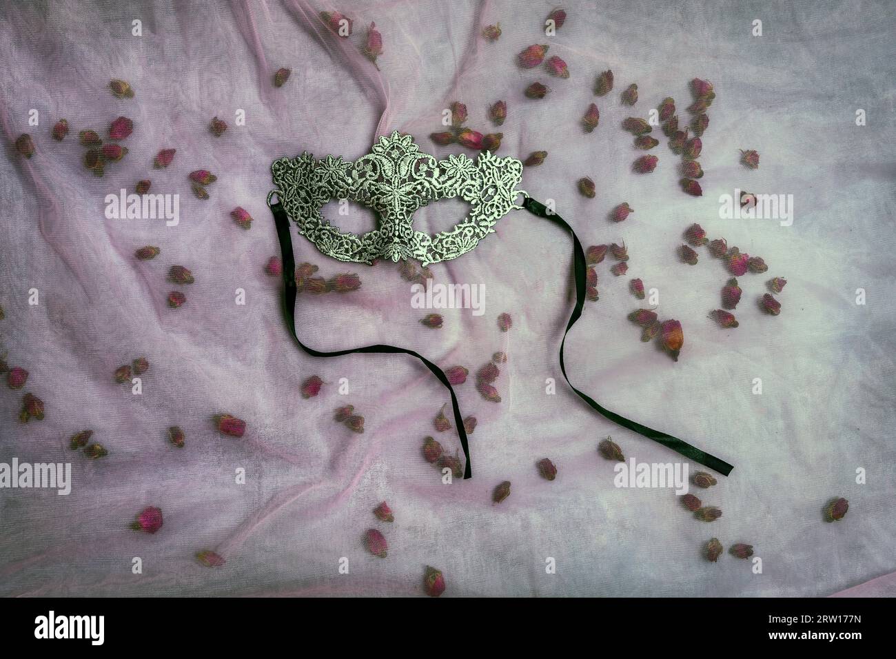 Disguise on transparent background hi-res stock photography and images ...