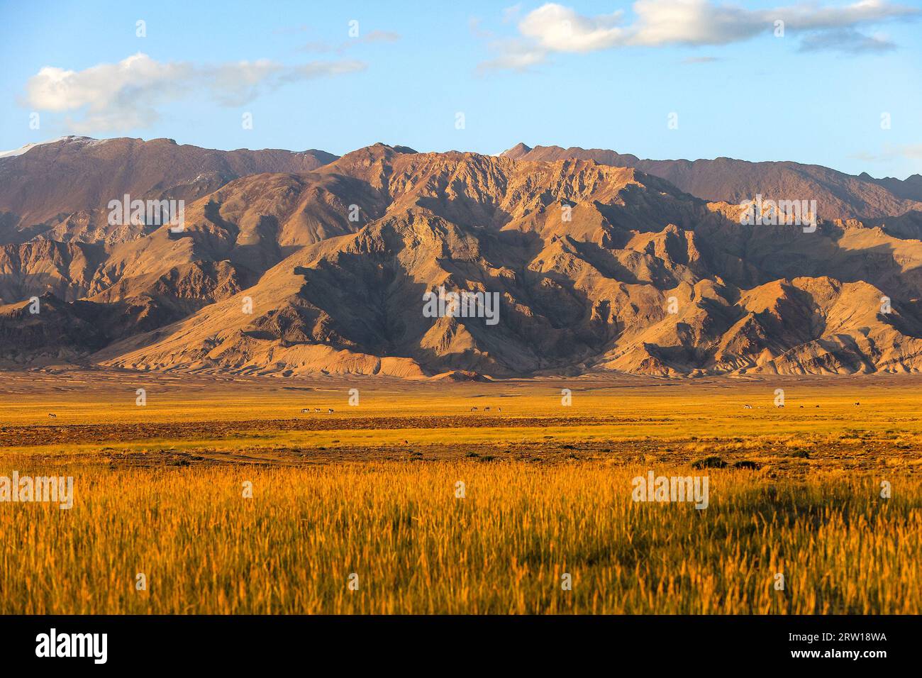 Ruoqiang. 11th Sep, 2023. This photo taken on Sept. 11, 2023 shows a ...