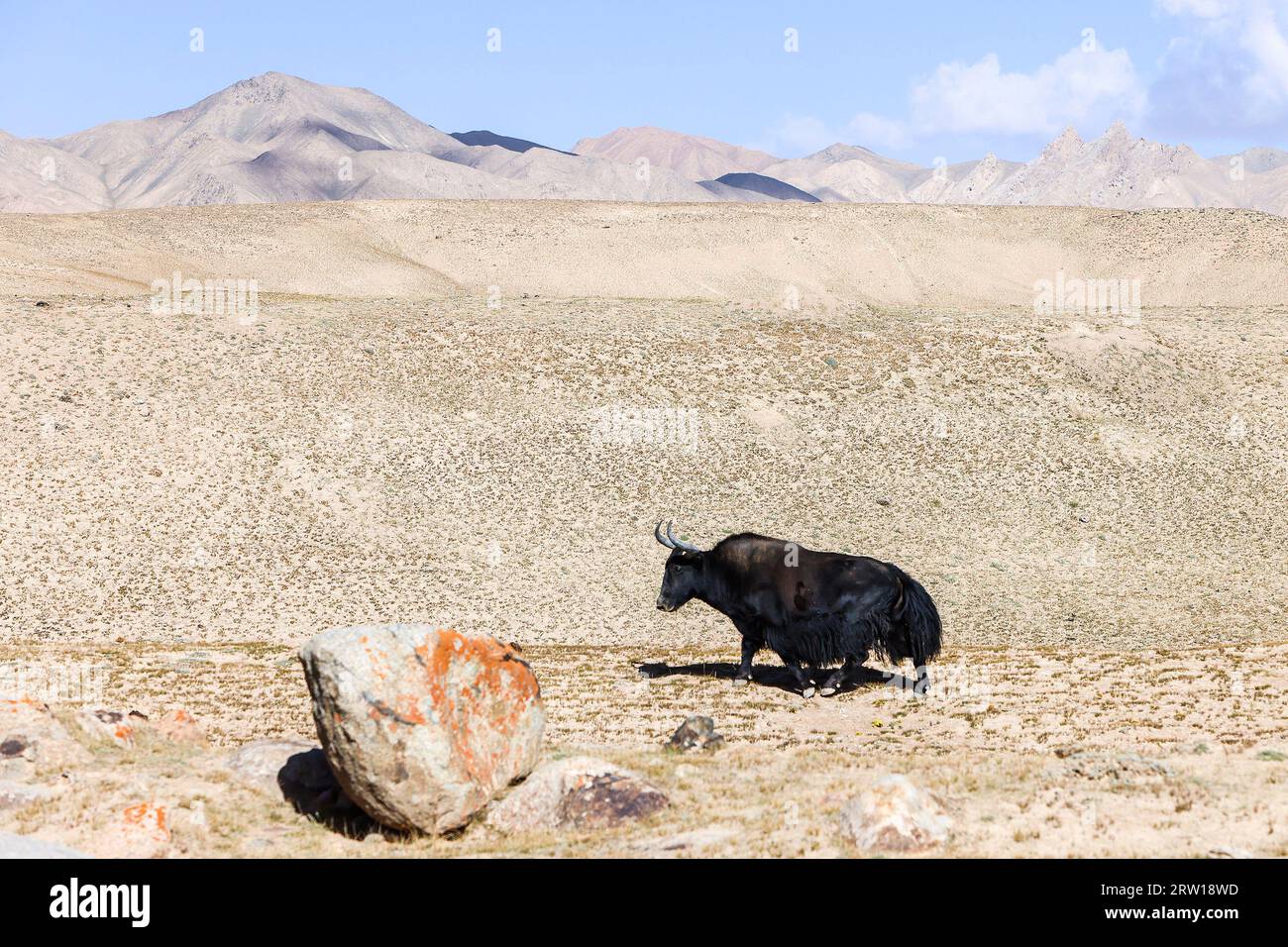 Ruoqiang. 11th Sep, 2023. This photo taken on Sept. 11, 2023 shows a ...