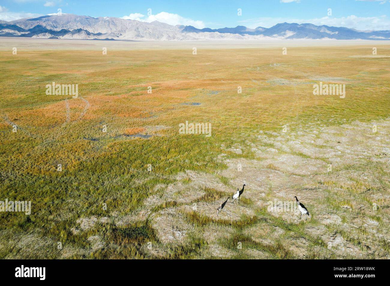 Ruoqiang. 11th Sep, 2023. This aerial photo taken on Sept. 11, 2023 ...