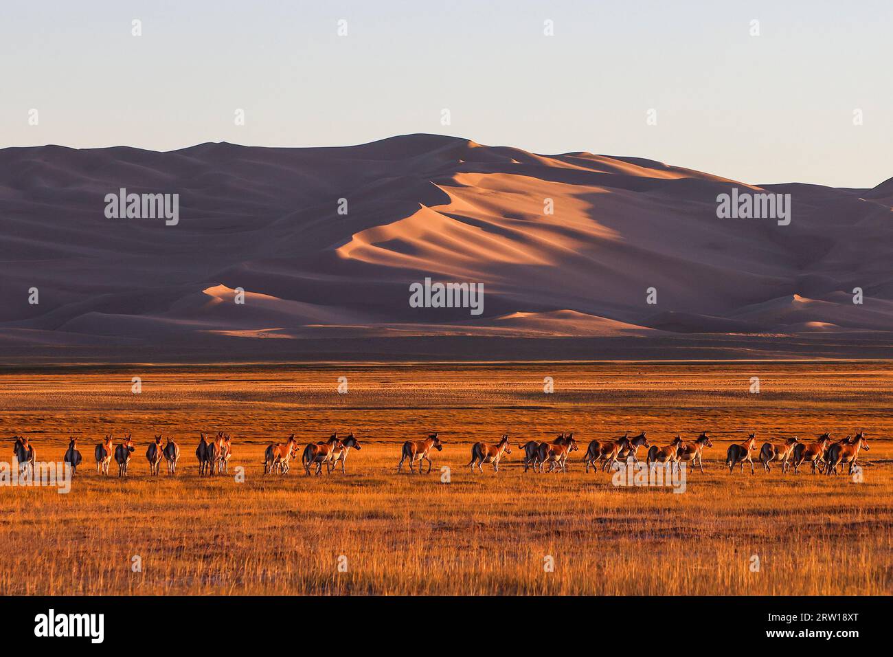 Ruoqiang. 12th Sep, 2023. This photo taken on Sept. 12, 2023 shows ...