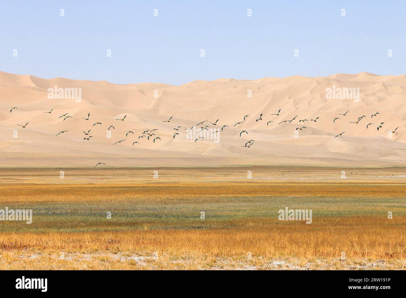 Ruoqiang. 14th Sep, 2023. This photo taken on Sept. 14, 2023 shows ...