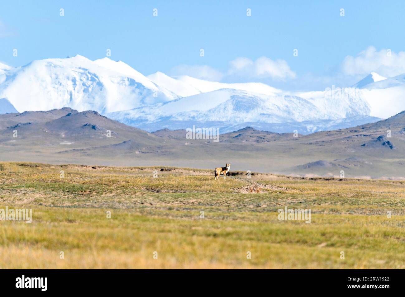 Ruoqiang. 12th Sep, 2023. This photo taken on Sept. 12, 2023 shows a ...