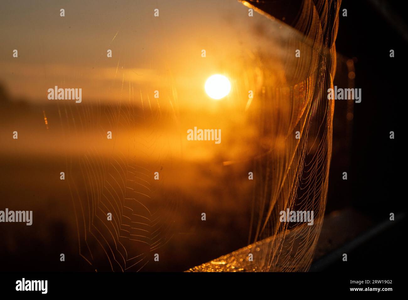 Spider rises hi-res stock photography and images - Alamy