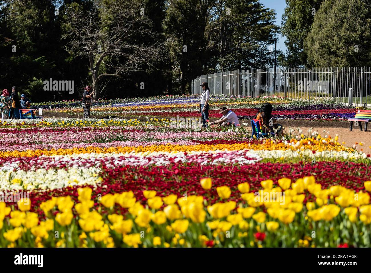 Canberra, Australia. 16th Sep, 2023. People visit the Floriade flower ...