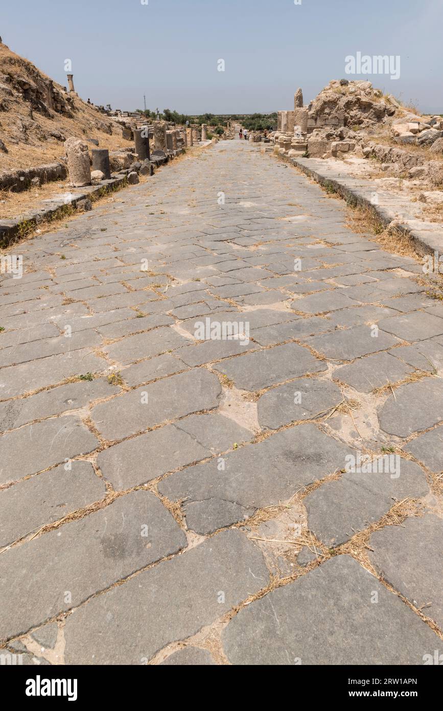 The Decumanus Maximus (east–west-oriented road) in the ancient city ...