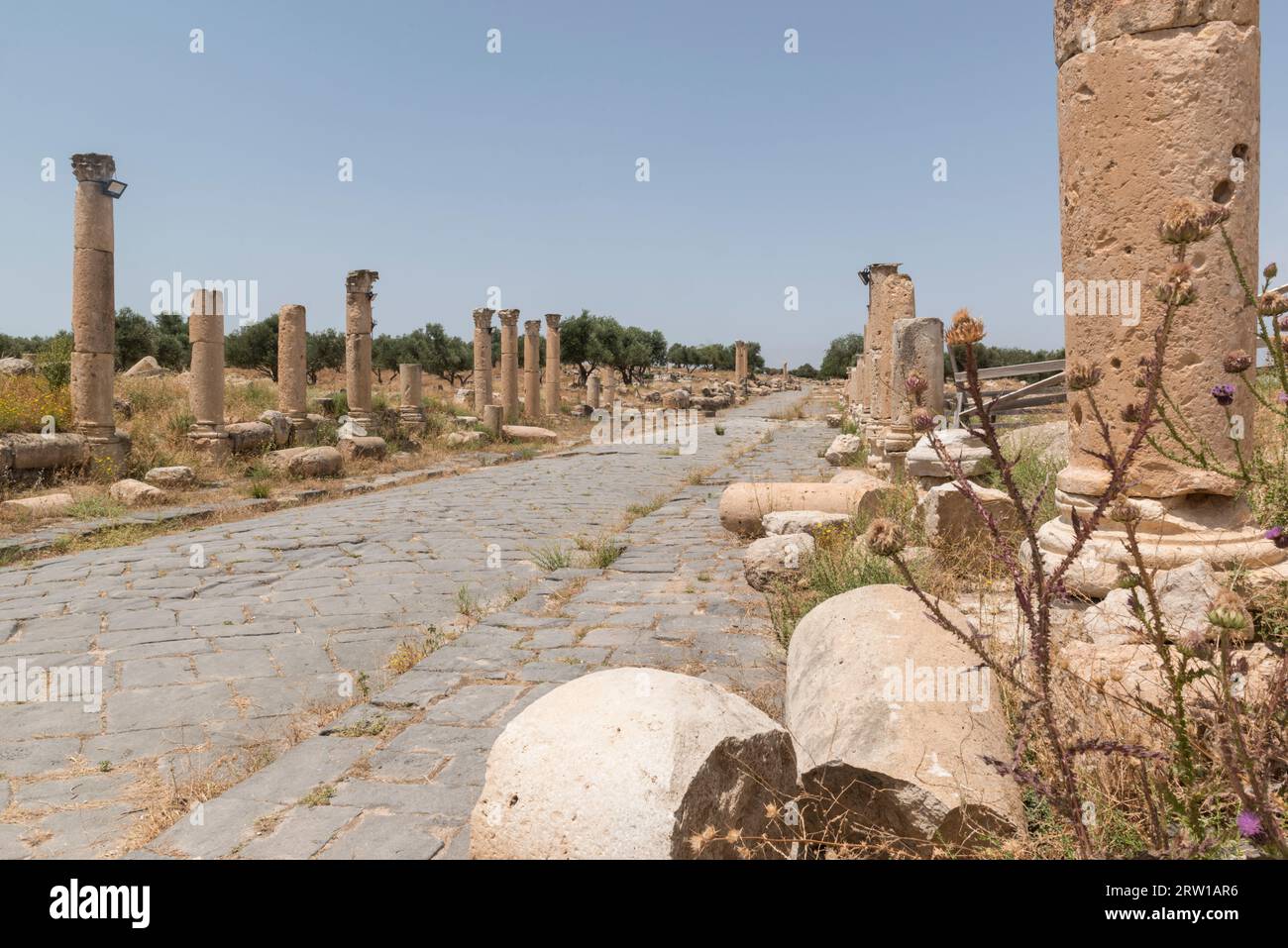 The Decumanus Maximus (east–west-oriented road) in the ancient city ...