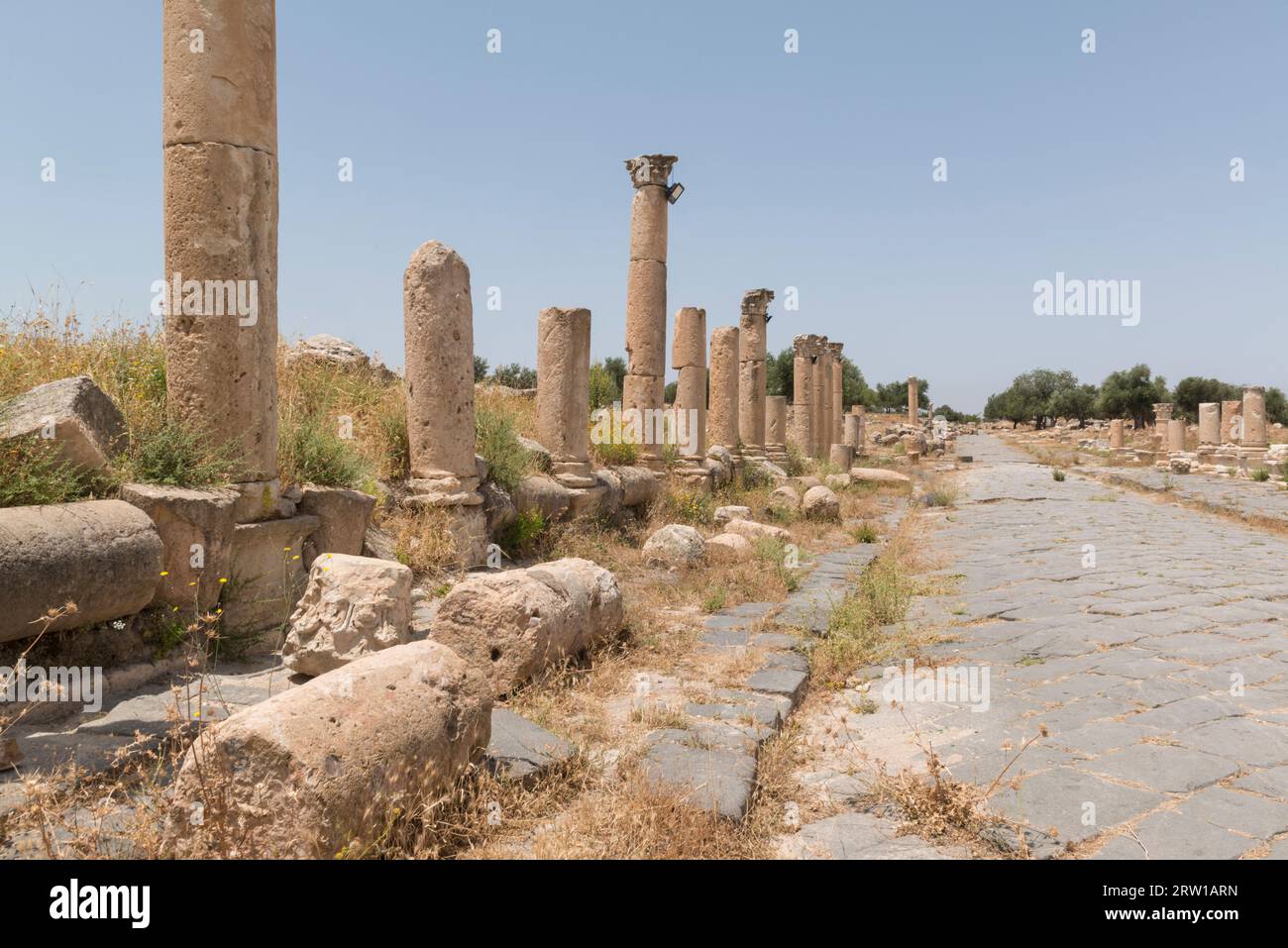 The Decumanus Maximus (east–west-oriented road) in the ancient city ...