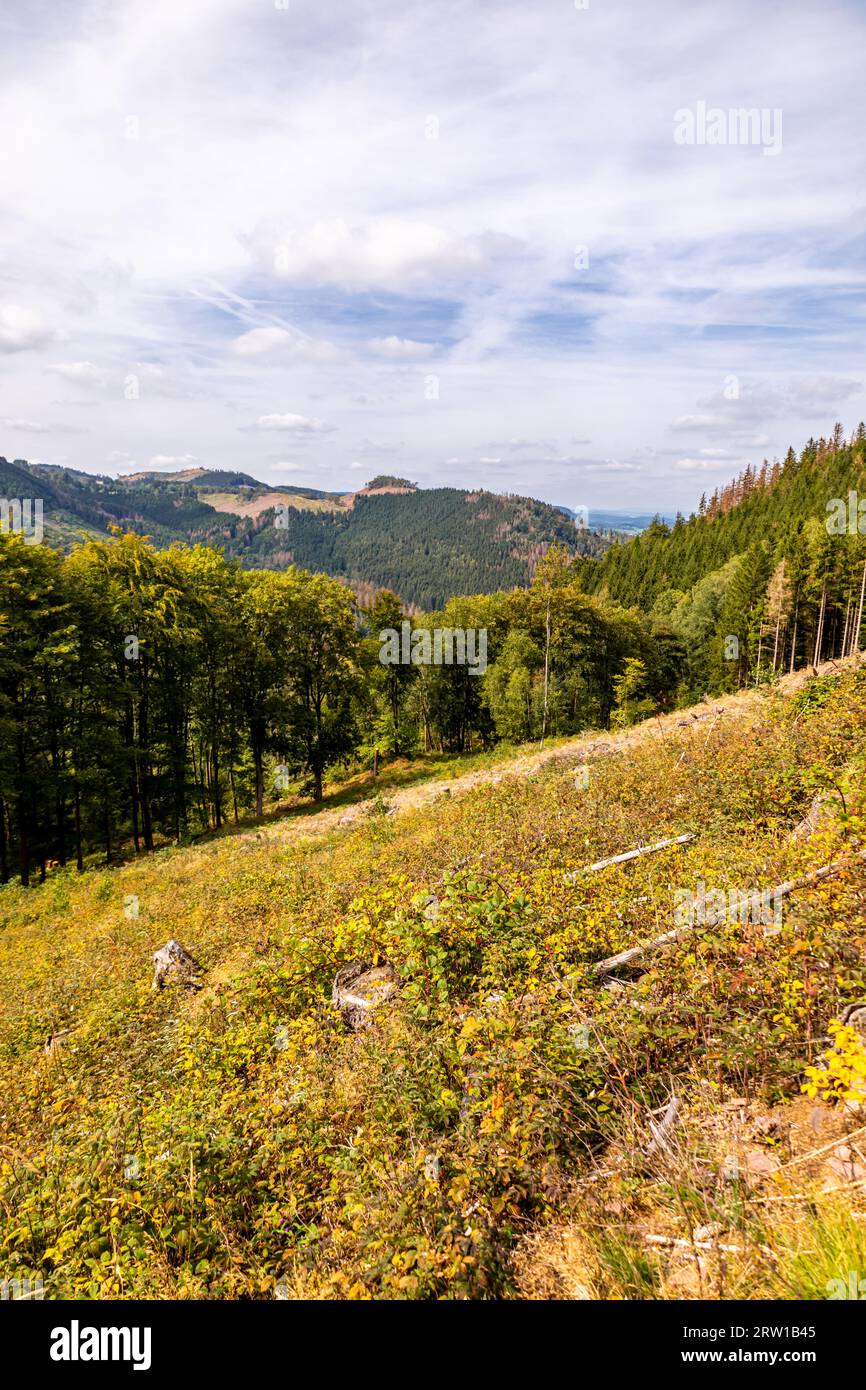 Summer hike on the high trail of the Thuringian Forest near Bad Tabarz ...
