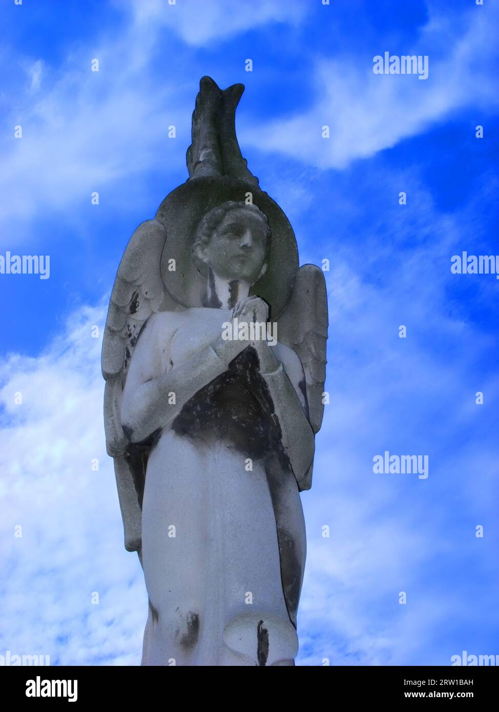 Angel guardian over the grave at the cemetery Stock Photo - Alamy