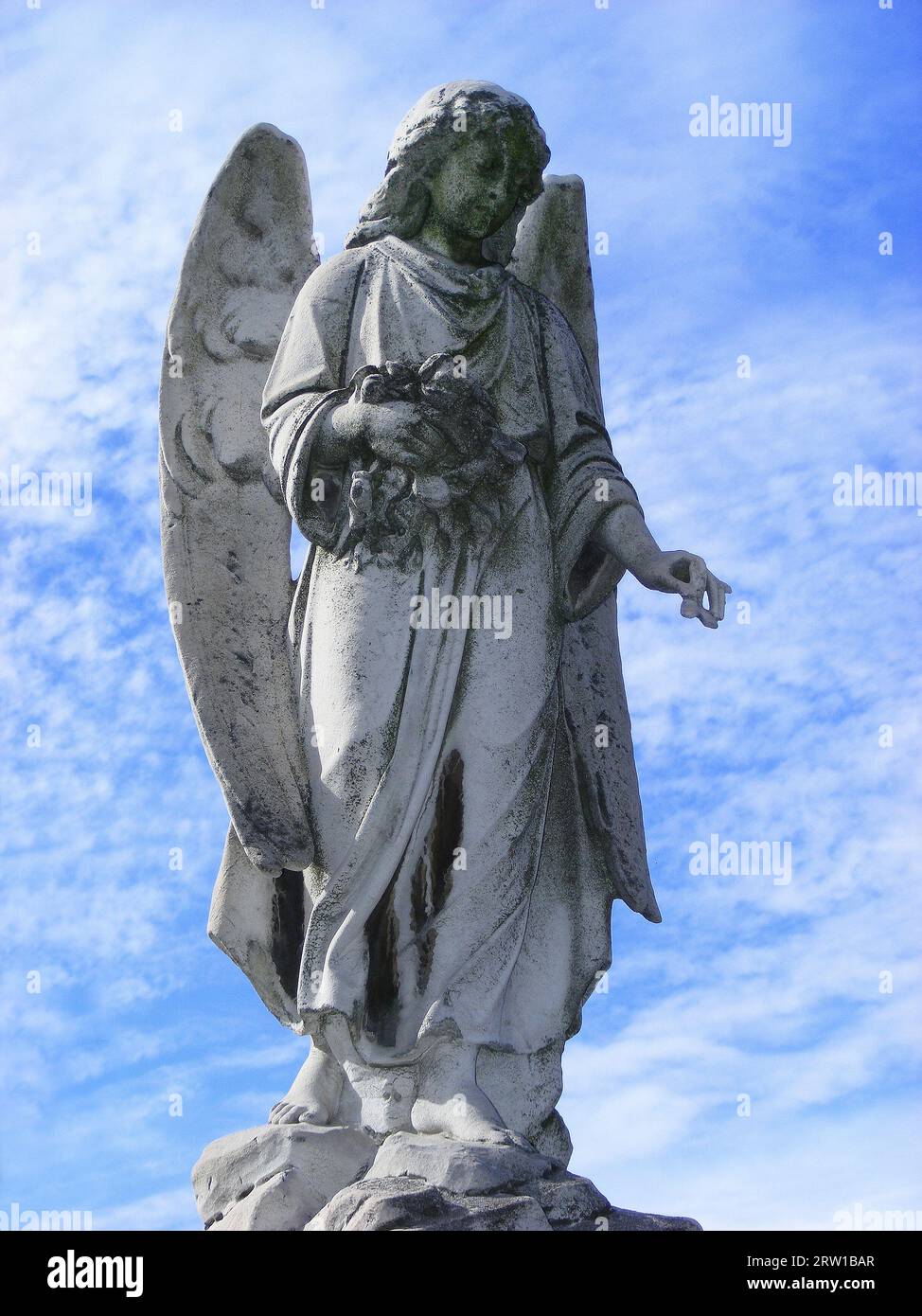 Angel guardian over the grave at the cemetery Stock Photo - Alamy