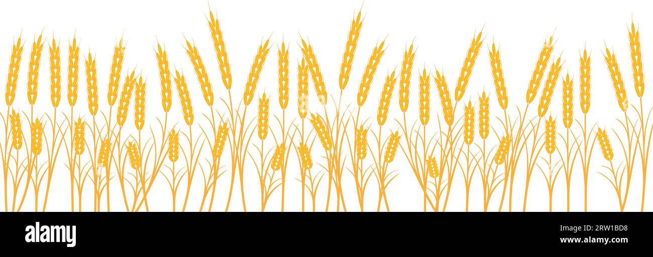 Banner wheat field background concept harvest and agriculture Ukraine ...