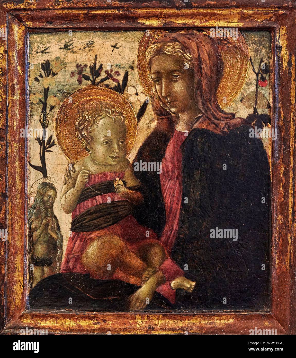 Madonna col Bambino e S. Onofrio - tempera su tavola - pittore fiorentino - seconda metà del XV ...