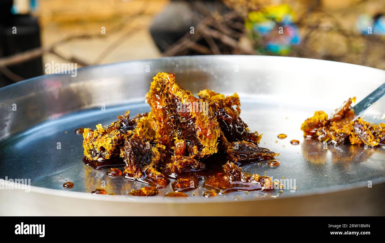 Honeycomb and bee or Apis florea on acacia tree and blur background ...